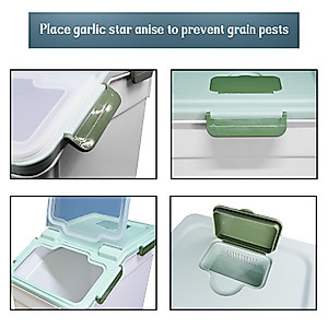 2 Pack Flour Storage Containers, Rice Storage Container Bin 50Lbs with Measuring Cup & Scoop, BPA Free Plastic Rice Dispenser for Flour, Grain Holder- Green