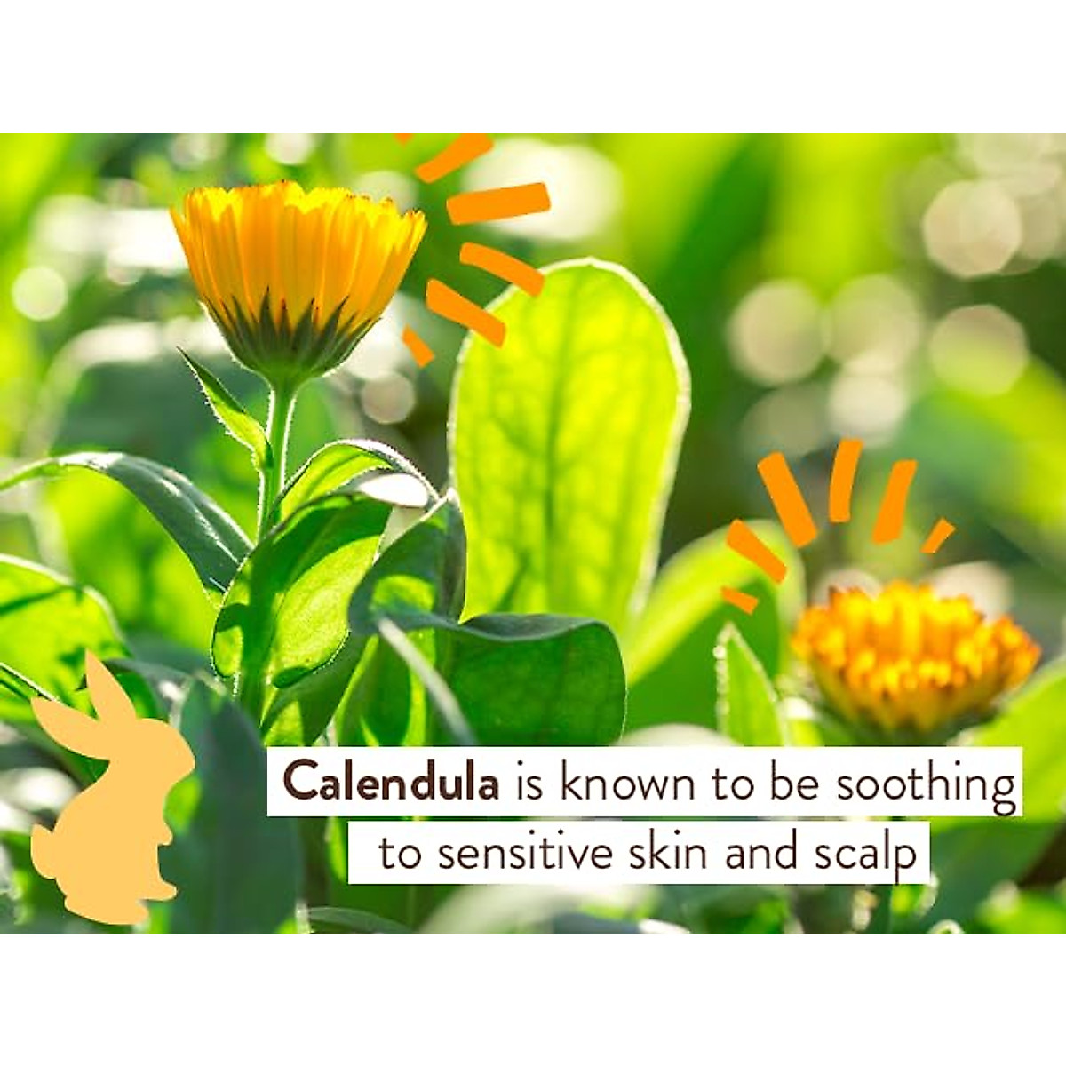 Babo Botanicals Moisturizing Oat & Calendula 2-in-1 Shampoo & Wash - For Dry or Sensitive Skin - For all ages - Lightly Scented - Vegan - 16 Fl Oz