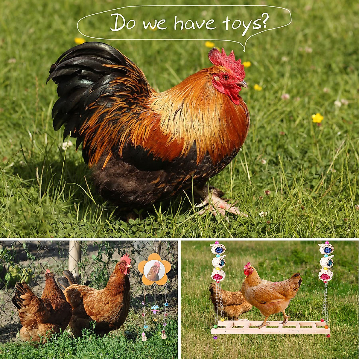 KAKUNM Chicken Toys for Coop Accessories 6PCS | Chicken Swing | Chicken Xylophone | Chicken Mirror Toy | Chicken Vegetable String Bag and Hanging Feeder