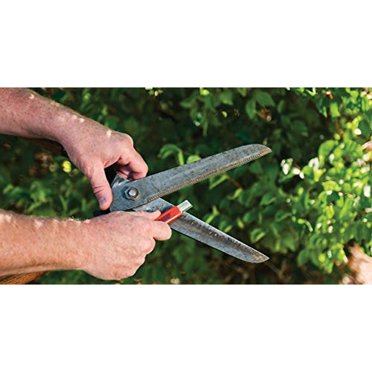 Micro 100 KS-1 Speedy Sharp Knife Sharpener,Orange