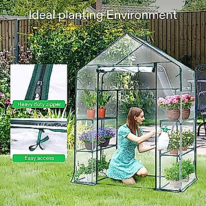 VIVOSUN Transparent 57 x 29 x 77-Inch Mini Walk-in Green House with Windows and Anchors, Plant Garden Hot House