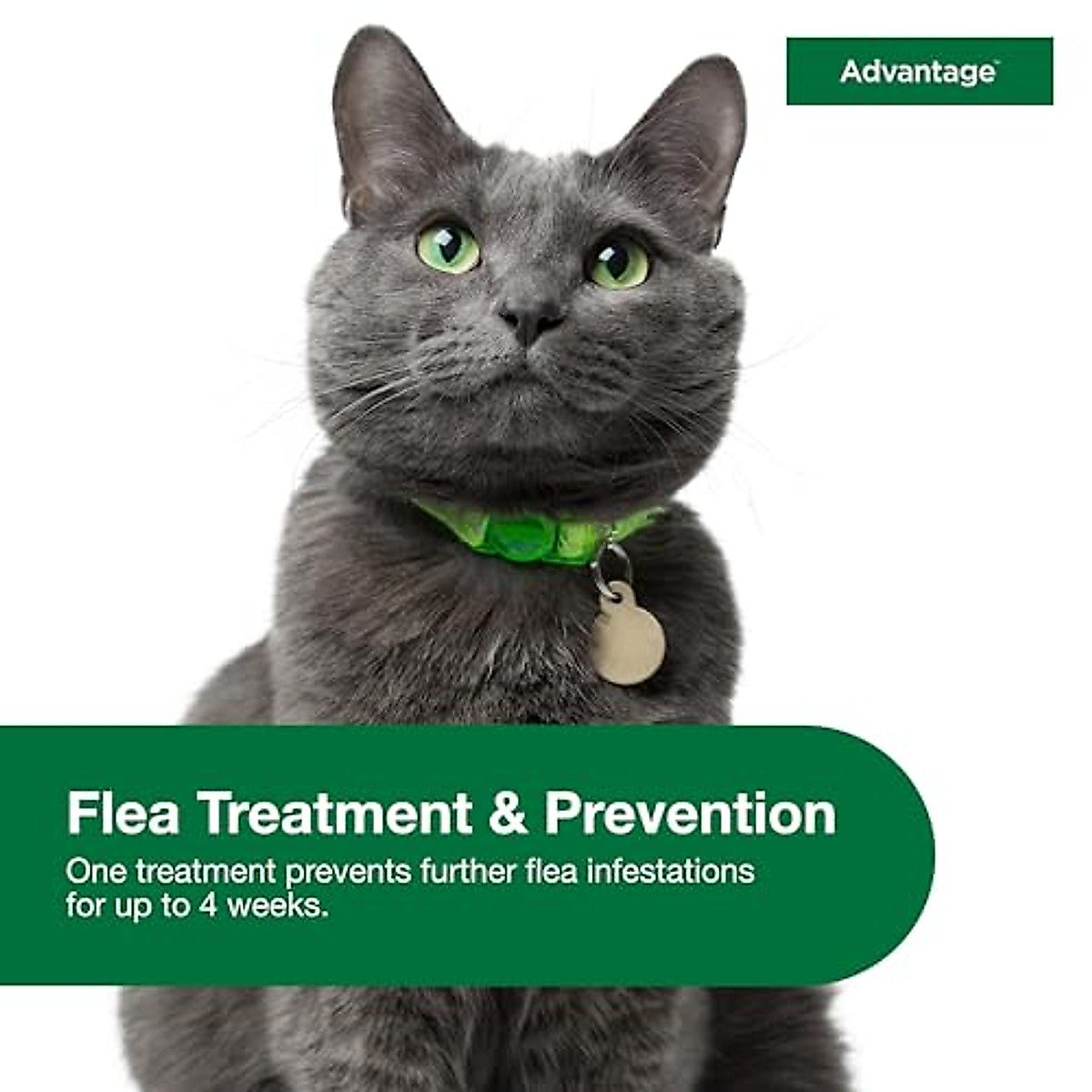 Advantage Topical Cat Flea Treatment and Prevention for Large Cats Over 9 lbs. | Apply Flea Drops Monthly | 2 Treatments