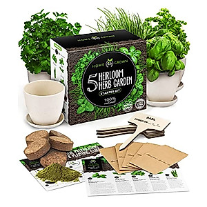 Indoor Herb Garden Starter Kit - 5 Herb Plant Grow Kit w/ Pots & Soil - DIY Heirloom Herb Seeds Home Gardening Kit - Kitchen Window Garden Growing Kit - Unique Gardening Gifts for Women & Men