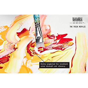Liquitex Professional Heavy Body Acrylic Paint, Classic 12 x 59ml (2-oz) Set