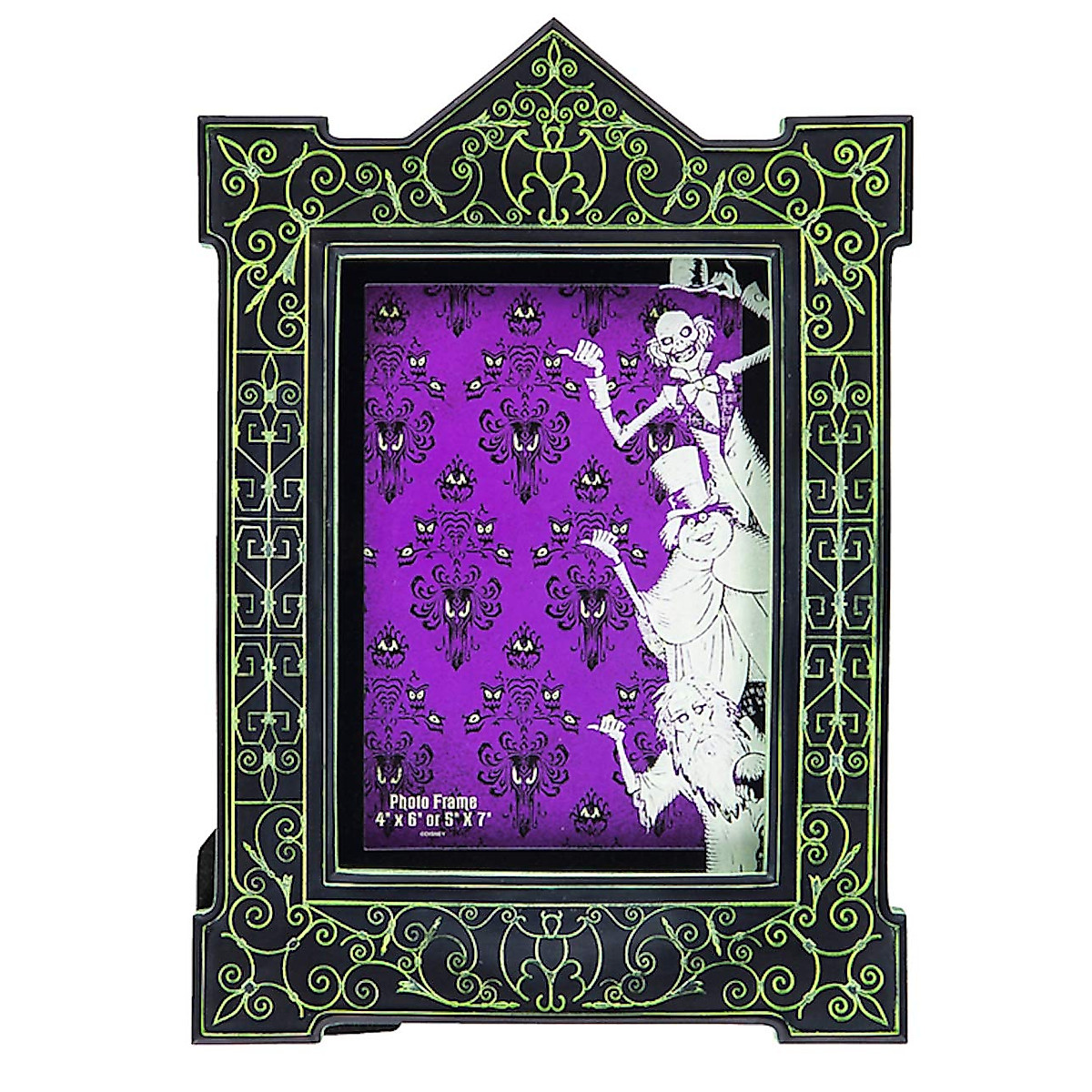 Disney Parks Haunted Mansion Hitchhiking Ghost Photo Frame