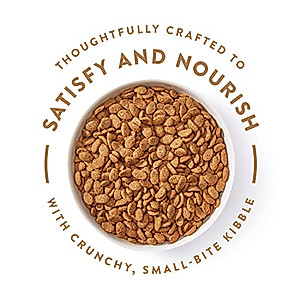 NUTRO ULTRA Adult Weight Management High Protein Natural Small Breed Dry Dog Food for Weight Contol with a Trio of Proteins from Chicken, Lamb and Salmon, 8 lb. Bag