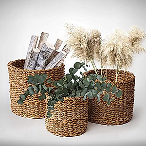 Napa Home & Garden Seagrass Small Round Baskets, Set of 3
