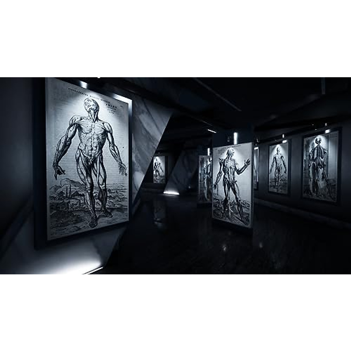 Trepang2 - Xbox Series X