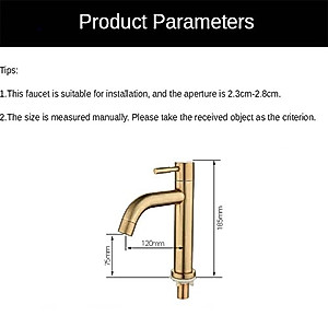 Brushed Gold Bathroom Basin Single Hole Cold Handle Shower Head Faucet Bath For Kitchen Sink Water Tap Toilet Hardware,Sliver short