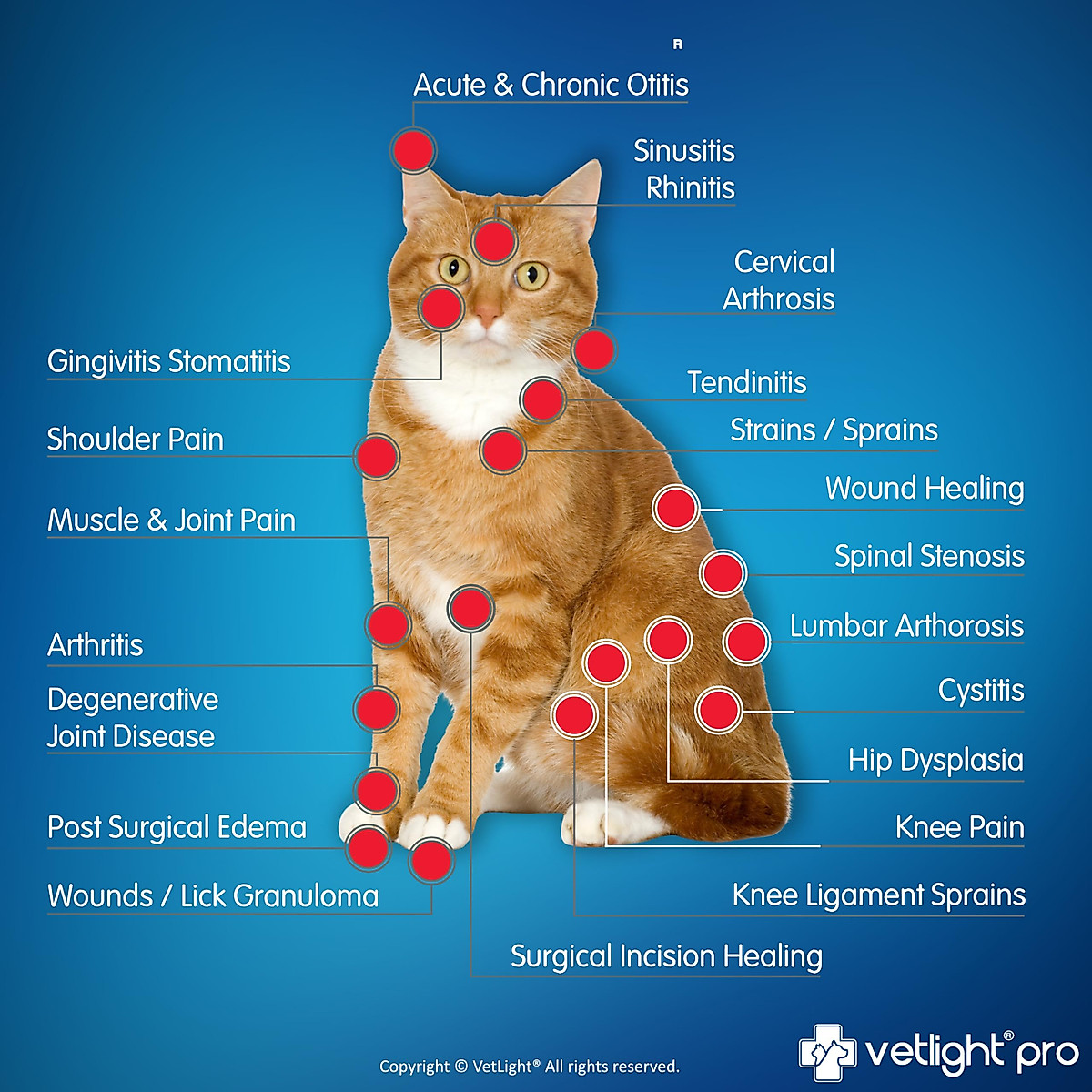 SHINE VetLight® Pro Portable Red Light Device for Pet Wellness - Professional-Grade Therapy for Home Use