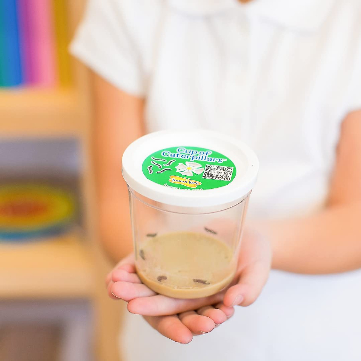 Insect Lore Two Cups of Caterpillars - Life Science & STEM Education