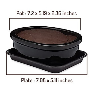 Bonsiac Mini Bonsai Japanese Style Bowl Planters with Seeping Plate - Shallow Planter Pots with Drainage Tray and Terra Cotta Glazed Finish