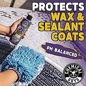 Chemical Guys CWS61916 Black Light Foaming Car Wash Soap(Works with Foam Cannons, Foam Guns or Bucket Washes)Safe for Cars,Trucks,Motorcycles,RVs&More,16 fl oz, Black Cherry Scent(packaging may Vary)