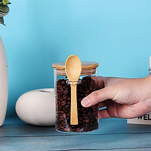 LEAVES AND TREES Y Glass Jars with Bamboo Lids and Spoon, 17 OZ Set of 3 Small Glass Sugar Container with Wooden Lids and Scoop, Coffee Tea Jars for Loose Tea, Coffee Bar Containers