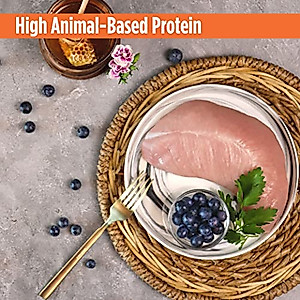 Nulo Freestyle Grain-Free Healthy Dog and Puppy Training Treats, Low Calorie Treats Made with Superfood Boost Ingredients, 2 Calories per Treat , 4 Ounce (Pack of 1)