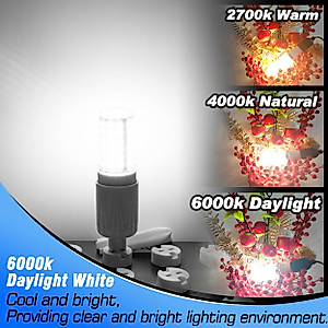 E26 LED Candelabra Light Bulb 10W Equivalent 100W 6000K Daylight White 1200lm E26 Edison Base LED Corn Bulbs for Refrigerator Chandelier Pendant Ceiling Fan Lighting Wall Sconces, Non-dimmable, 2 Pack