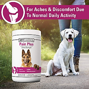 Vet Classics Pain Plus Extra Strength Health Supplement for Dogs - 120 Soft Chews