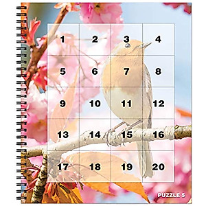 Brain Games - Sticker by Number: In the Garden (Easy - Square Stickers): Create Beautiful Art With Easy to Use Sticker Fun!