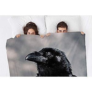 HGOD DESIGNS Raven Throw Blanket,Wild Animal Bird Black Raven Soft Warm Decorative Throw Blanket for Bed Chair Couch Sofa 30"X40"