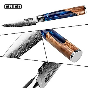 CRICO Paring Knife 3.5 inch Fruit Knife, Small Kitchen Knives, VG10 Damascus Super Steel 67-Layers, Full Tang Wood&Resin Handle, Gift Box - Flow Series