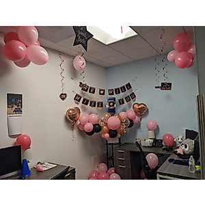 Rose Gold Farewell Party Decorations,We Will Miss You banner,Going away party decorations for Coworkers Goodbye, Rose Gold Hanging Swirls Balloon cupcake topper Decor Retired Party Supplies