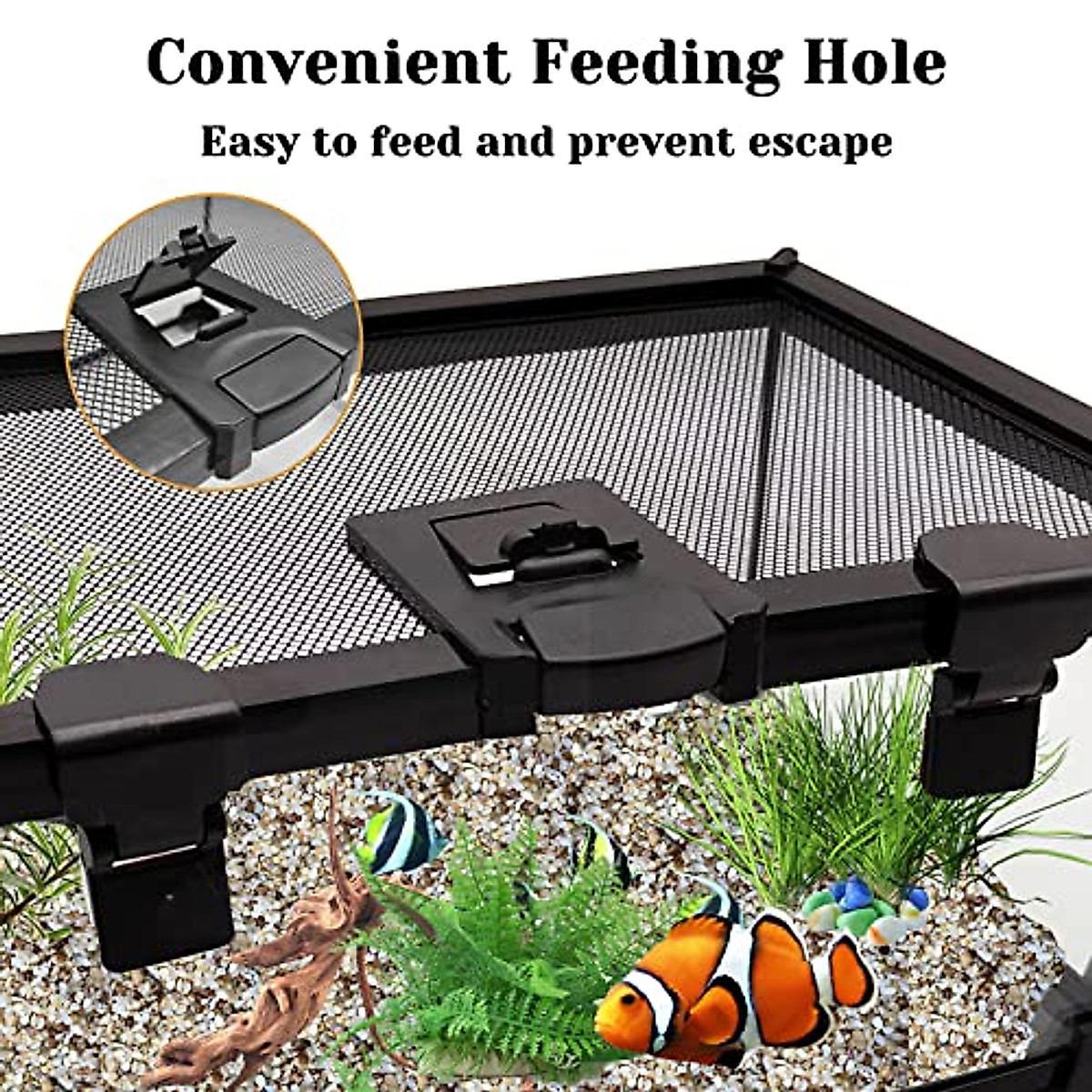 Hamiledyi Mini Reptile Glass Terrarium Tank,8"x8"x6" Hermit Crab Breeding Box Transparent Jumping Spider Enclosure Small Amphibians Habitat Cage for Baby Snake Gecko Lizard Tarantula