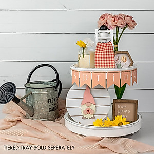 Beautiful Tiered Tray Decor Set for Spring - Interchangeable All Season Decorations Bundle Incl. Easter, Summer & More - Modern Farmhouse Centerpiece for Home & Kitchen Decor
