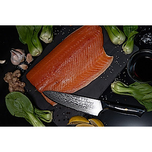 OXFORD CHEF Chefs Knife 8 inch Best Damascus- Japanese- VG10 Super Steel 67 Layer High Carbon Stainless Steel-Razor Sharp, Stain & Corrosion Resistant, Awesome Edge Retention