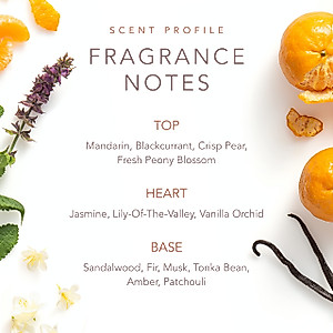 Dolly Parton Scent from Above Perfume - Eau de Parfum Spray for Women - Floral, Fruity, Casual & Feminine Perfume with Notes of Mandarin, Jasmine, and Sandalwood - 3.4 Fl Oz