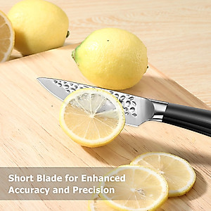 PAUDIN Paring Knife, 3.5 Inch Paring Knives for Kitchen, Fruit Knife, Tomato Knife, Sharp High Carbon Stainless Steel Fruit Carving Knife with Ergonomic ABS Handle, Handcrafted Peeling Knife