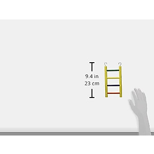 Prevue Pet Products BPV01134 Carpenter Creations Hardwood Bird Ladder with 4 Rungs, 8-Inch, Colors Vary