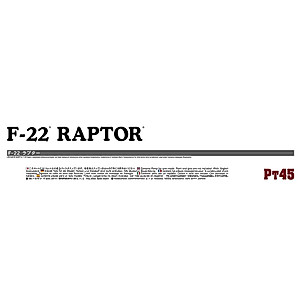 Hasegawa 1/48 F-22 Raptor USAF