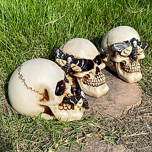 Basuo-9Q Pack of 3 Hear Speak See No Evil Resin Figurines Halloween Decoration Wise Skeletons Statues Black Reapers (Moth-Skulls)