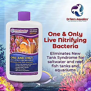 DrTim's Aquatics Reef One & Only Nitrifying Bacteria – For Reef, Nano and Seahorse Aquaria, New Fish Tanks, Aquariums, Disease Treatment – H20 Pure Fish Tank Cleaner – Removes Toxins – 2 Oz. (400)