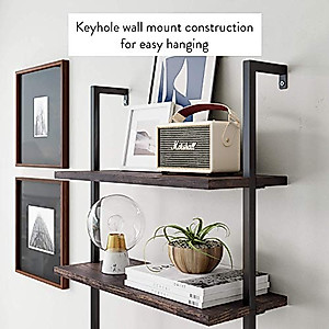 Nathan James Theo 4-Shelf Bookcase, Floating Wall Mount Shelves with Natural Wood and Industrial Pipe Metal Frame, Nutmeg/Black