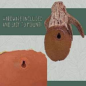 Esterno Tree Bark Monster Yard Decor, Bark Face Tree Person Decor for Garden and Halloween