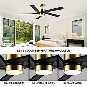 WINGBO 64 Inch DC Ceiling Fan with Lights and Remote Control, 5 Reversible Carved Wood Blades, 6-Speed Noiseless DC Motor, Modern Ceiling Fan in Brass Finish with Balck Blades, ETL Listed