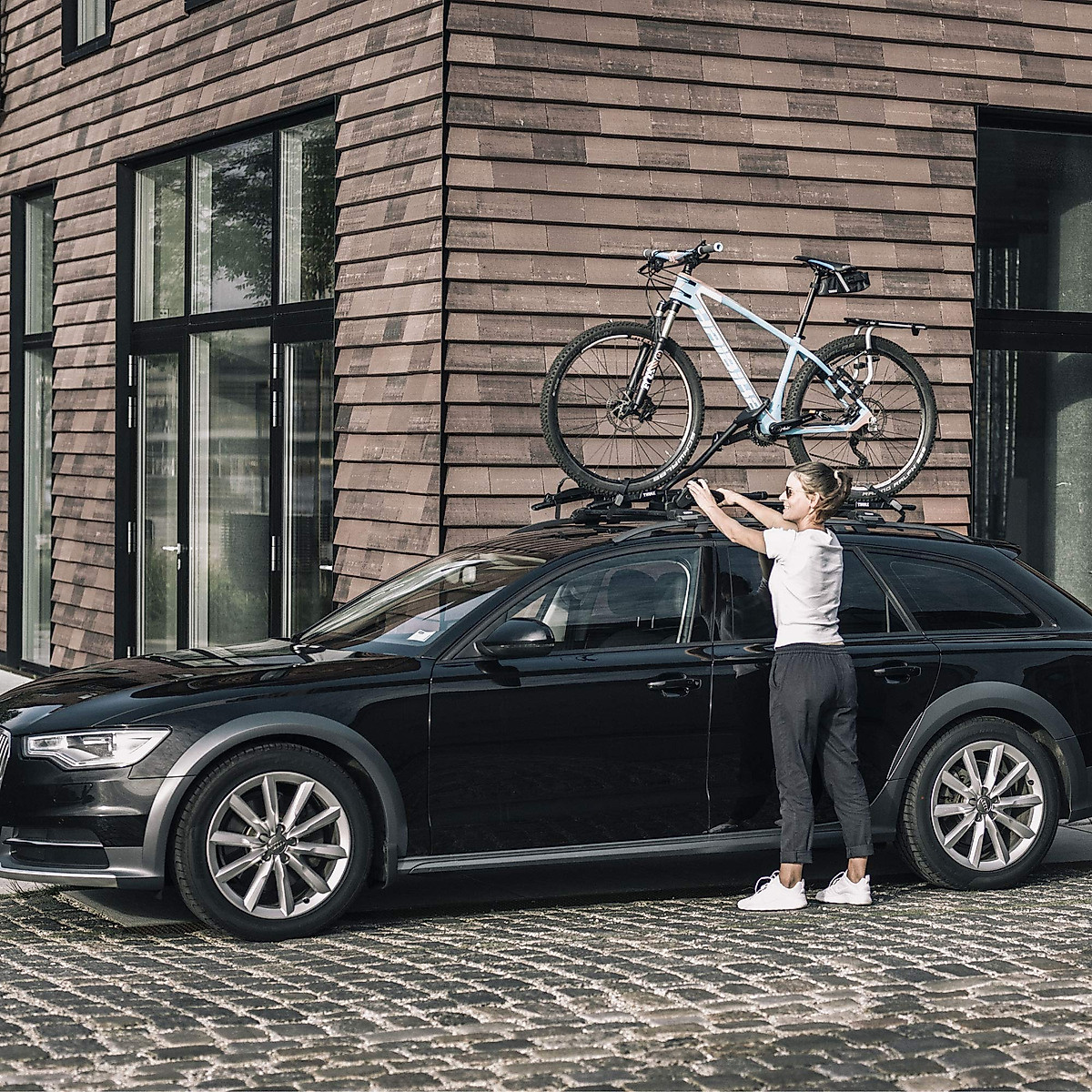 Thule ProRide XT Roof Bike Rack