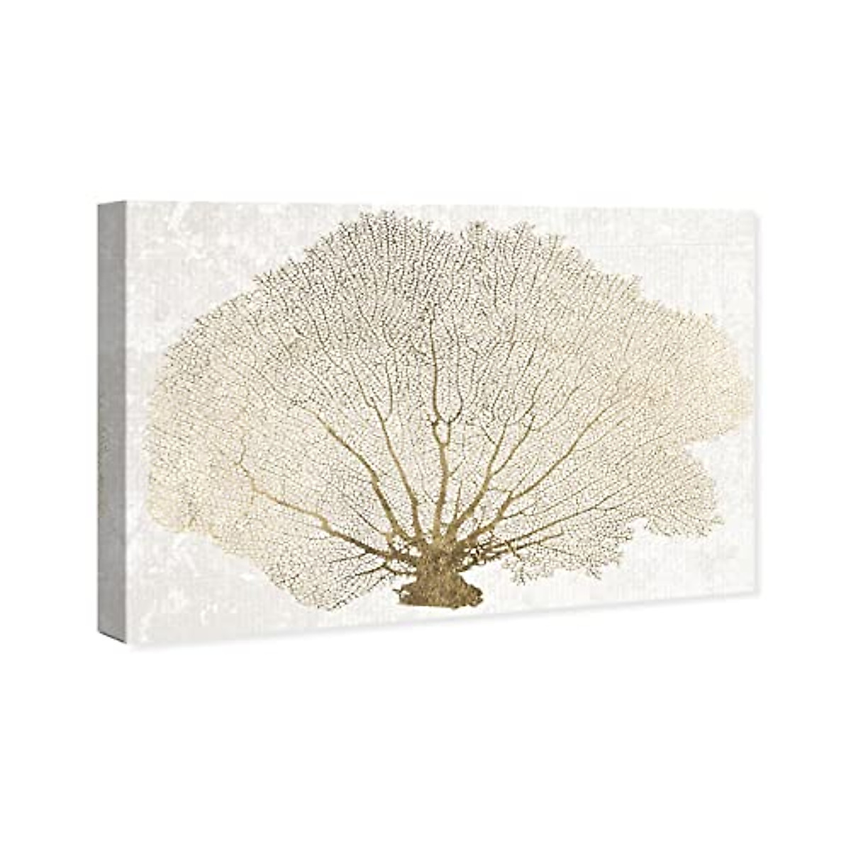 The Oliver Gal Artist Co. Nautical and Coastal Wall Art Canvas Prints Coral Fan' Home Décor, 15" x 10", Gold, White