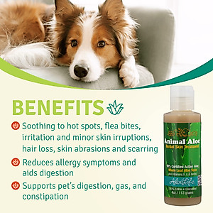 Aloe Life - Animal Aloe, Pet-Safe Digestive Aid & Skin Treatment Gel, Helps to Soothe Hotspots, Flea Bites & Irritation, Supports Your Pet’s Digestive Health & Overall Wellness, Fragrance-Free (4 oz)
