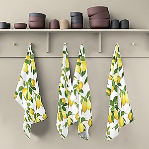 Kigai Kitchen Towels Set of 4, Lemon Highly Absorbent Dish Towels Reusable Cleaning Cloths Washable Tea Towels Hand Towel 28 x 18 Inch