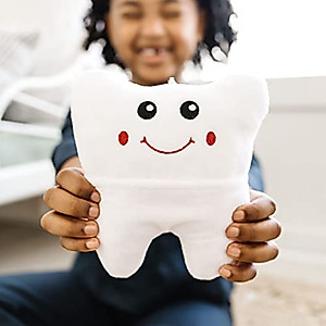 Tooth Fairy Pillow with Receipts and Magic Fairy Glitter for Boys and Girls, 3 Piece Set with Hanging Option, Toothfairy Kit Keepsake Gift