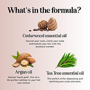 Cleansing Shampoo for Dry Scalp Care - Cedarwood and Rosemary Shampoo for Men and Flaky Scalp Moisturizer with Tea Tree Oil for Oily Scalp - Deep Clarifying Shampoo for Build Up with Rosemary Oil