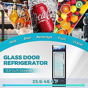 Bluelinecool 12.5 cu.ft Commercial Refrigerators with 1 Glass Door, Beverage Fridge with LED Light Display Upright Merchandiser, Drink Cooler with 4 Adjustable Shelves Black ETL Approved