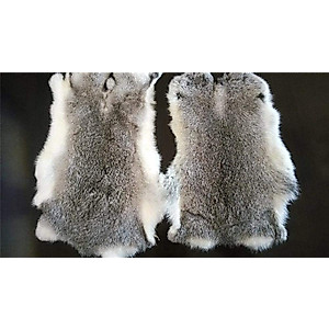 2Pack Real Natural Rabbit Fur Craft Grade Rabbit Pelts Sewing Quality Leather Rug Blanket (Cyan Gray)