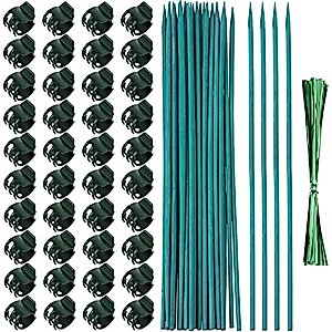 Jetec 40 Pieces Orchid Clips Plastic Garden Plant Clips with 20 Pieces Plant Support Stakes, 20 Pieces Metallic Twist Ties for Supporting Stems Vines Stalks Grow Upright (30 cm)