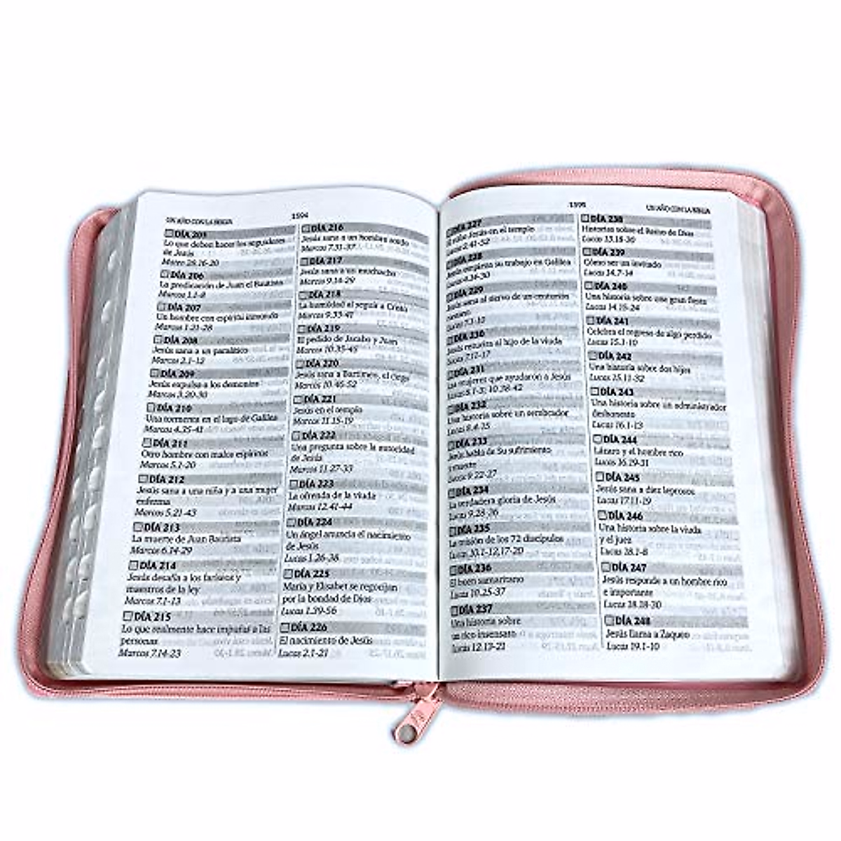 Biblia para Mujer con Cierre Letra Grande 12 puntos Concordancia Amplia Reina Valera 1960 rosada con indice
