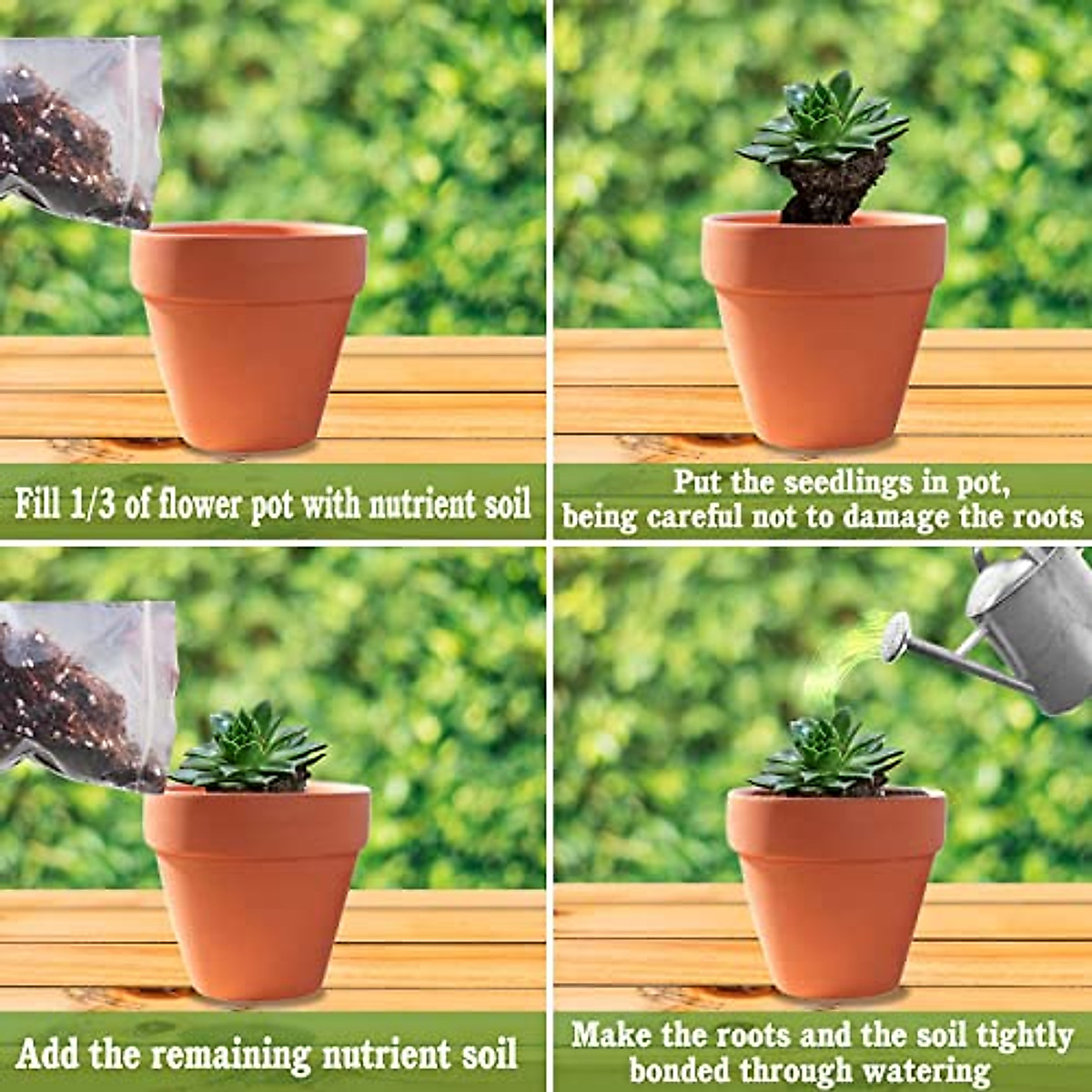 Halatool 6 QT Organic Top Soil Garden Succulent Soil for Indoor & Outdoor Plants Bonsai Cactus Soil Potting Mix for Houseplants Flowers Vegetables & Herbs