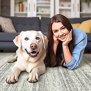 Miukiki 8x10 Area Rugs, Modern Abstract Rug with Non Slip Backing, Stain Resistant Washable Rugs, Non-Shedding Area Rug for Living Room (Grey, 8'x10')