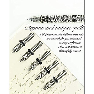 SCHOWE Antique Two-Color Feather Pen Quill Pen Dip Pen With Envelope Writing Paper Calligraphy Pen and Ink Set(pheasant)